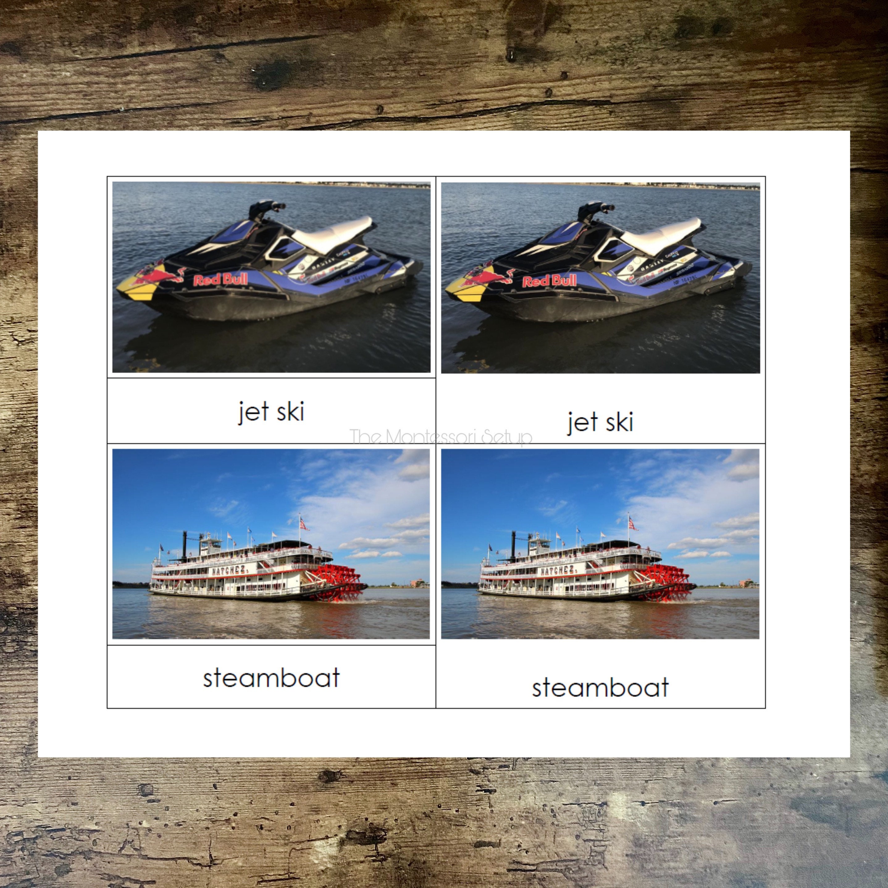 PRINTABLE in the Water 3 Part Cards for Safariltd TOOB - Etsy