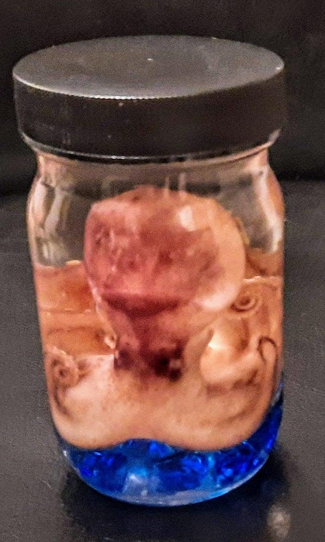 Wet Specimen Octopus Tall Glass Jar - Oddities and Curiosities - Etsy