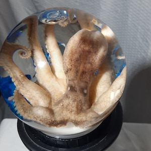 Octopus Globe Wet Specimen Taxidermy Oddities Steampunk Real ...