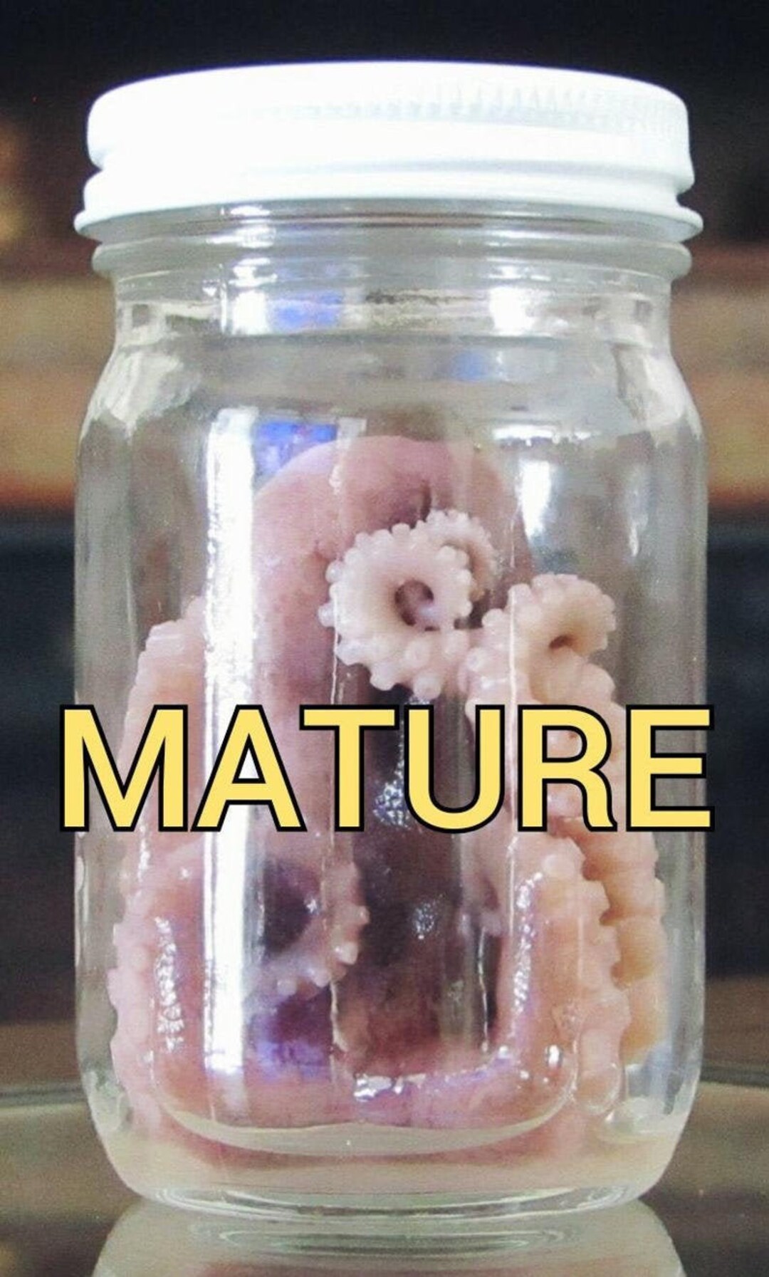 Wet Specimen Real Octopus in Specimen Jar Oddities Taxidermy Steampunk ...