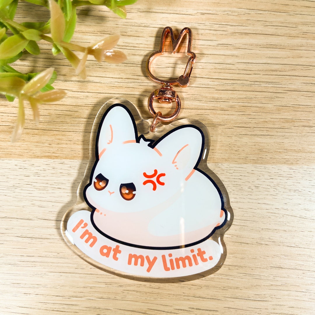 Grumpy Bunny Acrylic Charm, Kawaii Keychain - Etsy
