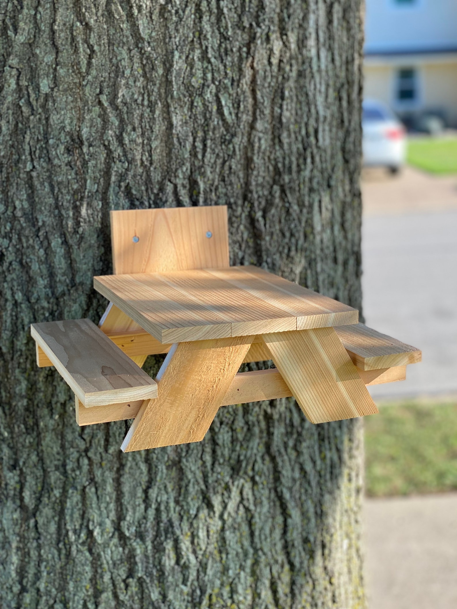 Squirrel Picnic Table - Etsy