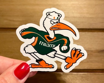 Miami Hurricanes Mascot - Etsy