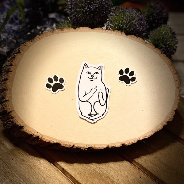 Middle Finger Cat - Etsy