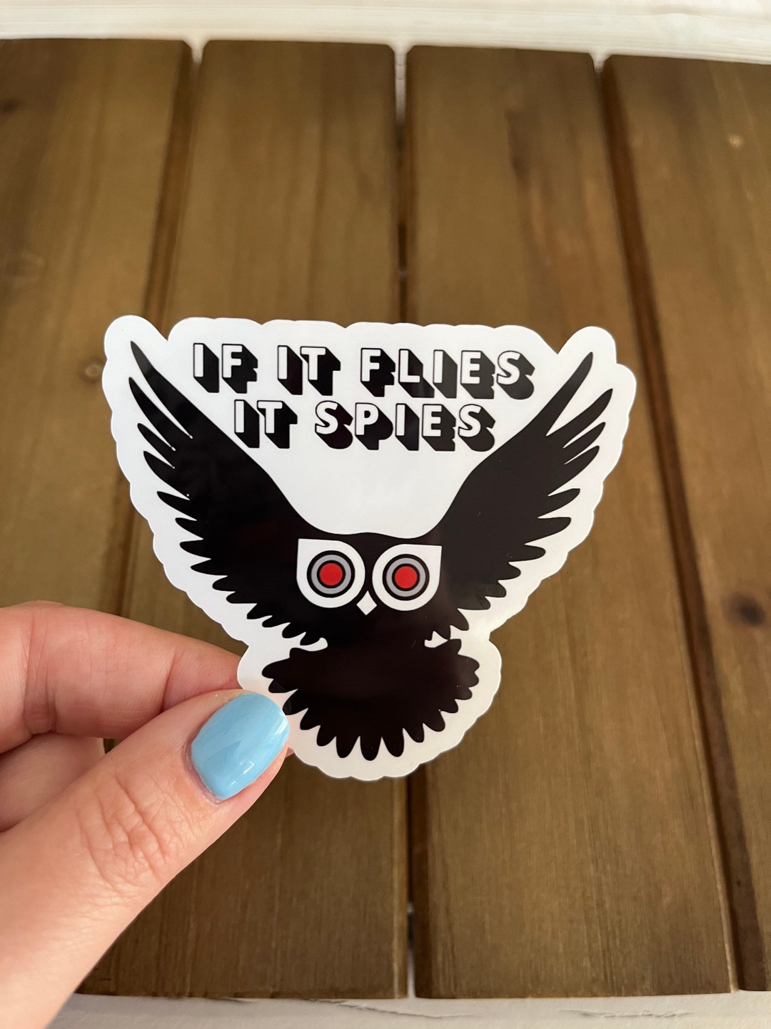 If It Flies It Spies with Flying Bird funny Sticker Birds - Etsy