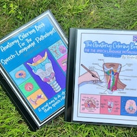 Cranial Nerve Chart, Slp, Neuroanatomy, SLP to Be, Study Cards, Brain ...