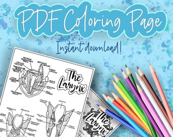 Larynx Anatomy Coloring Page - Etsy
