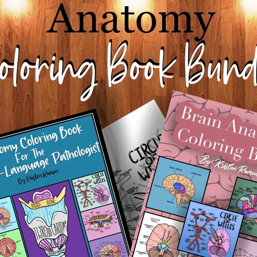 Anatomy Coloring Book for the Speech-language Pathologist - Etsy