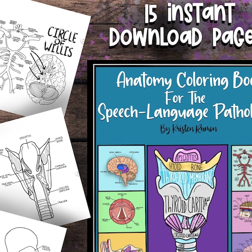 Anatomy Coloring Book for the Speech-language Pathologist - Etsy