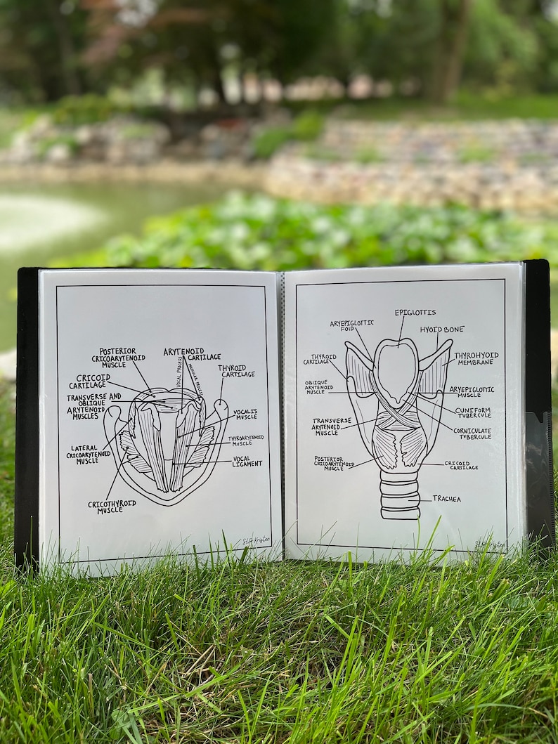Anatomy Coloring Book for the SLP BUNDLE (digital Downloads) - Etsy