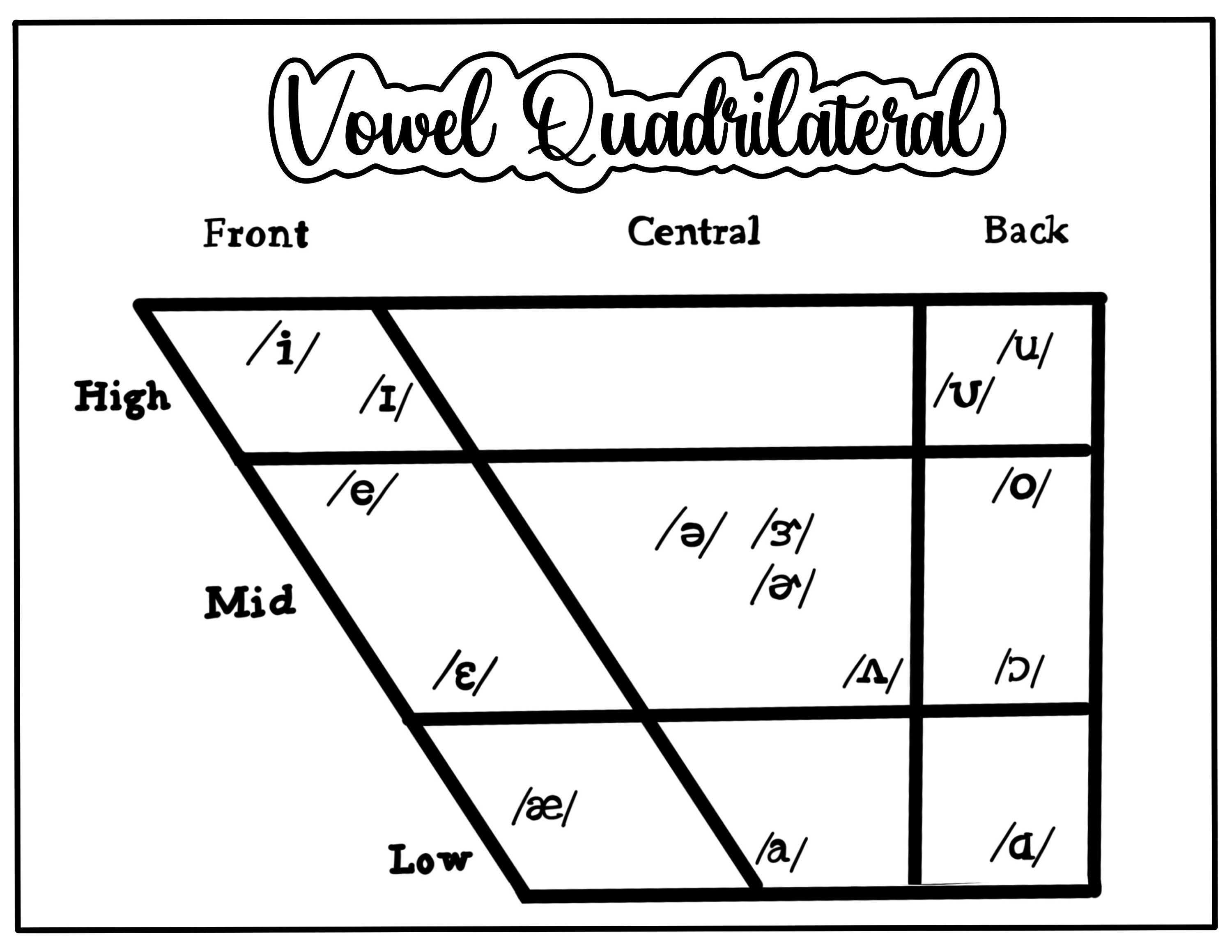 Vowel Quadrilateral Coloring Page - Etsy