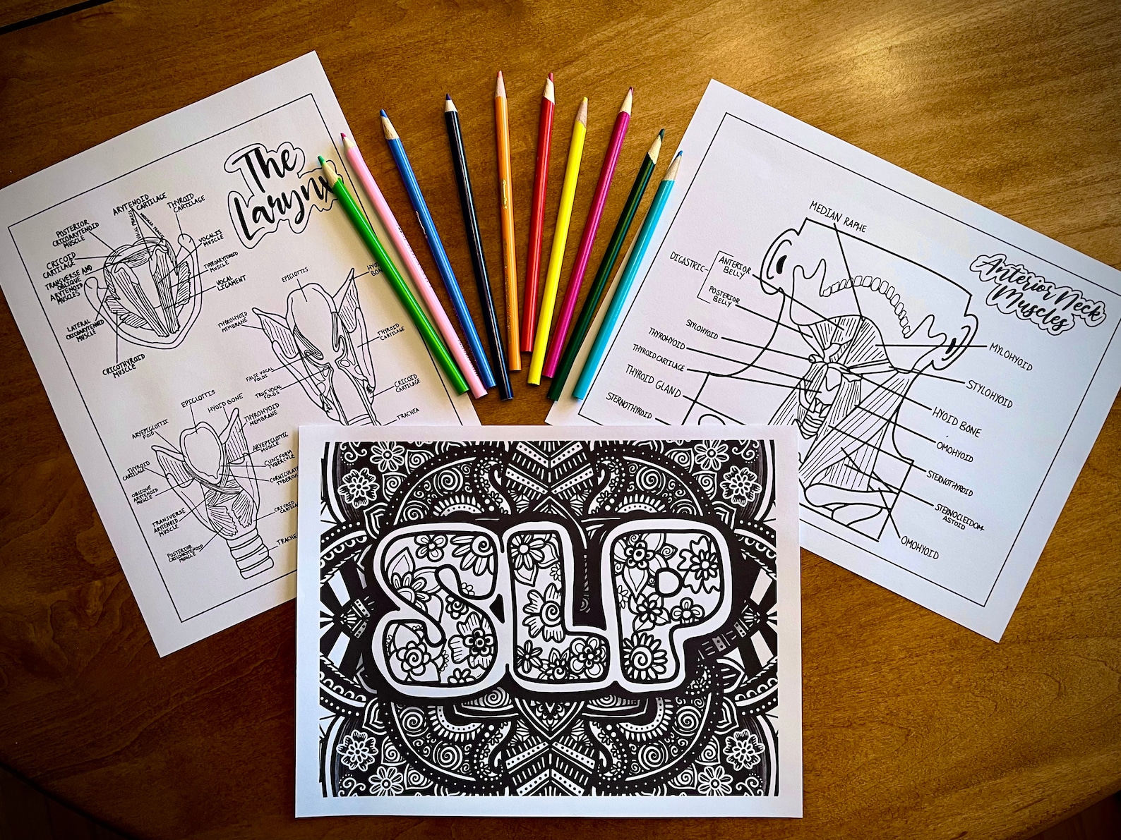 Larynx Coloring Page - Etsy