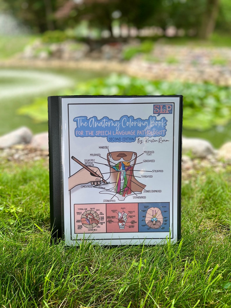 Anatomy Coloring Book for the SLP BUNDLE (digital Downloads) - Etsy
