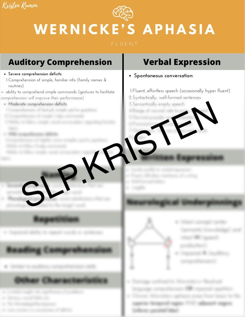 Quick Aphasia Guide - Etsy