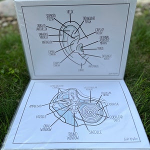 The Anatomy Coloring Book for the Speech-language Pathologist-2nd ...