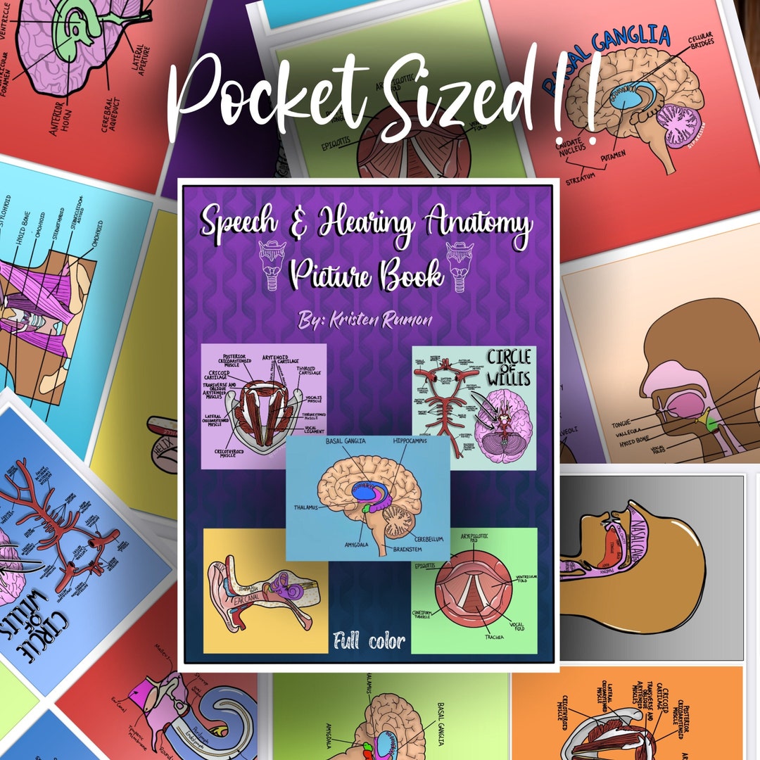 Pocket-sized Speech & Hearing Anatomy Picture Book - Etsy