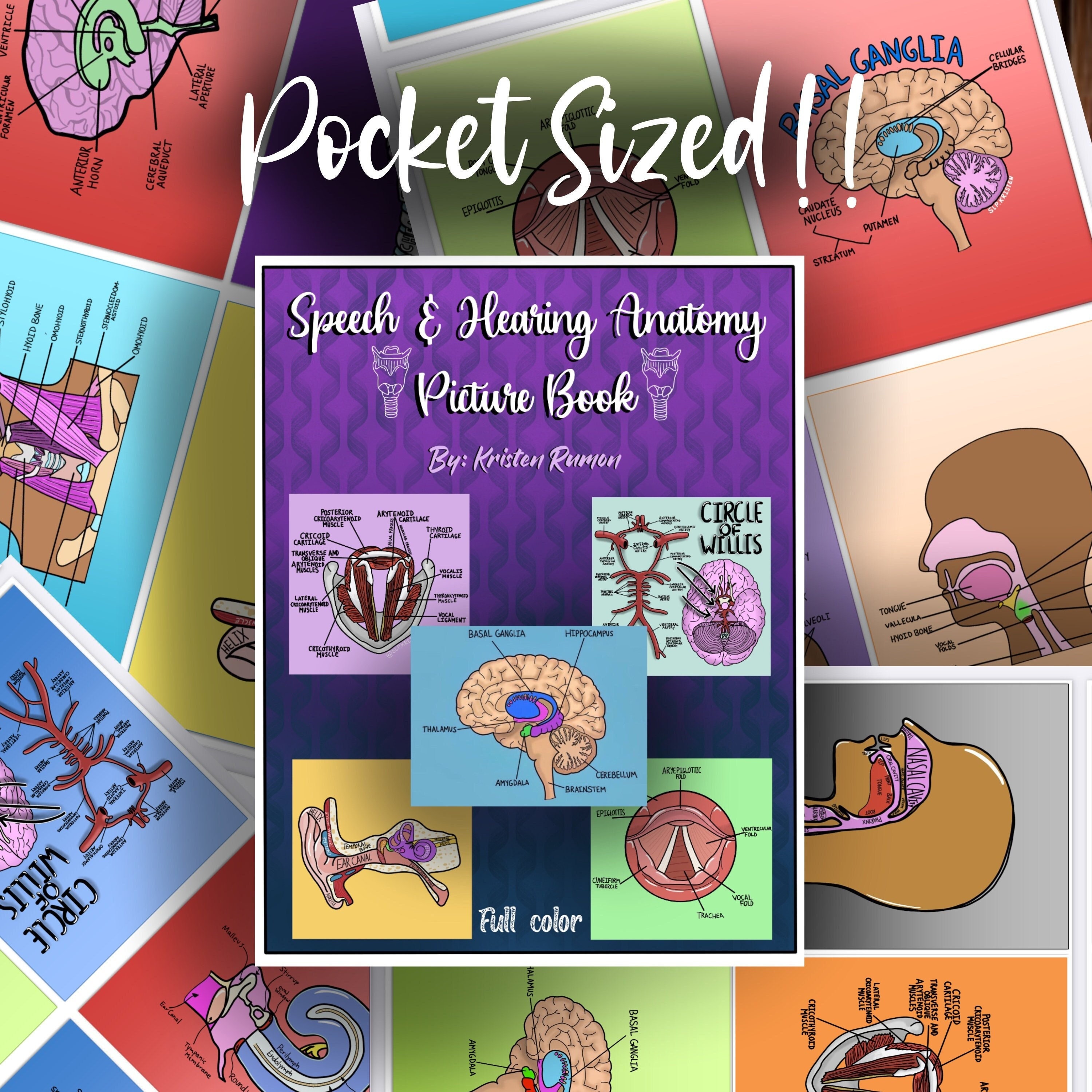 Pocket-sized Speech & Hearing Anatomy Picture Book (digital Download ...