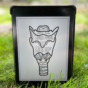 Anatomy Coloring Book for the SLP BUNDLE (digital Downloads) - Etsy