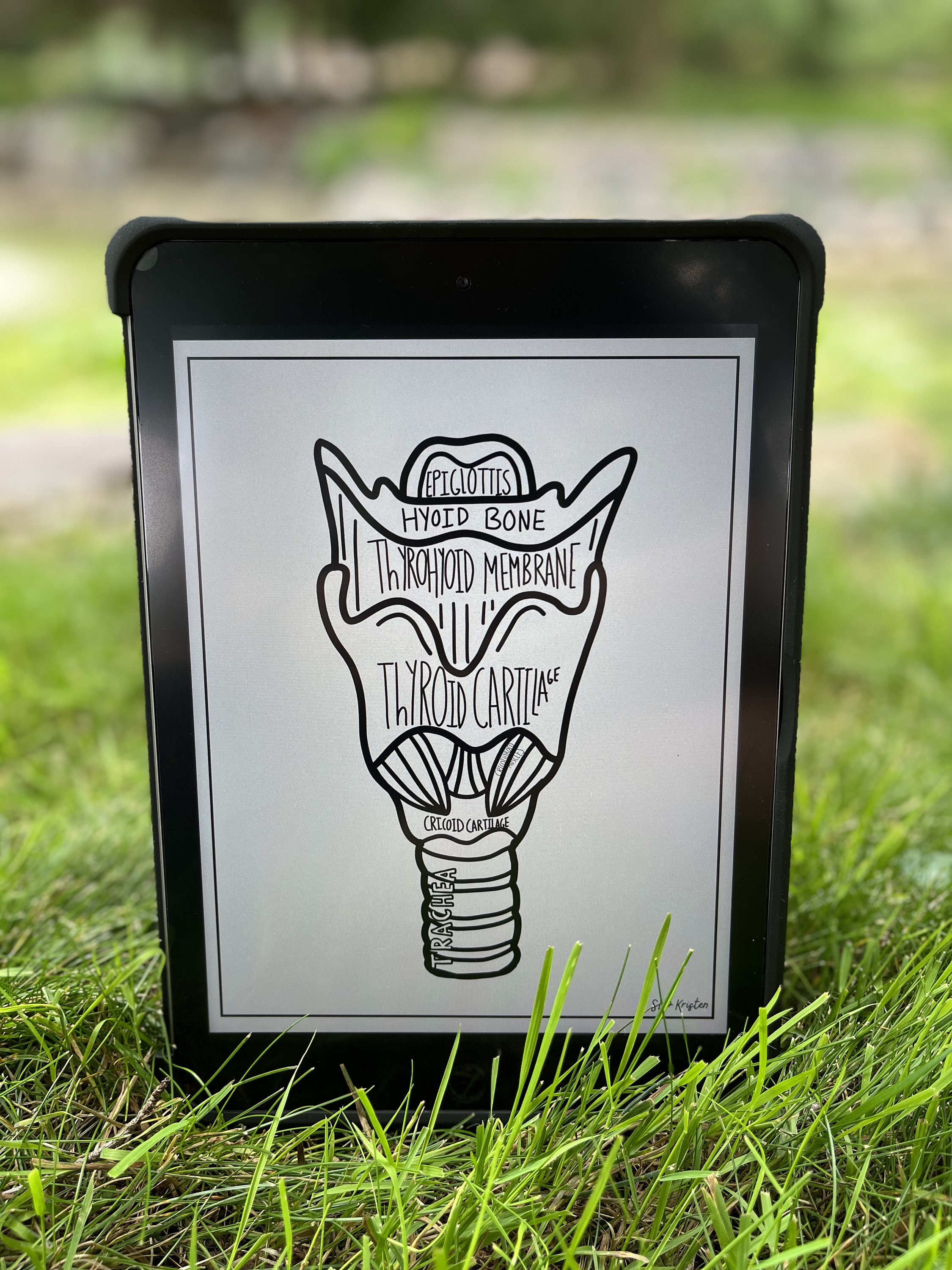 Anatomy Coloring Book for the SLP BUNDLE - Etsy Canada