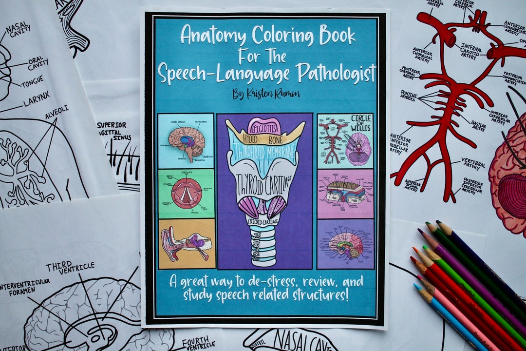 Anatomy Coloring Book for the Speech-language Pathologist - Etsy