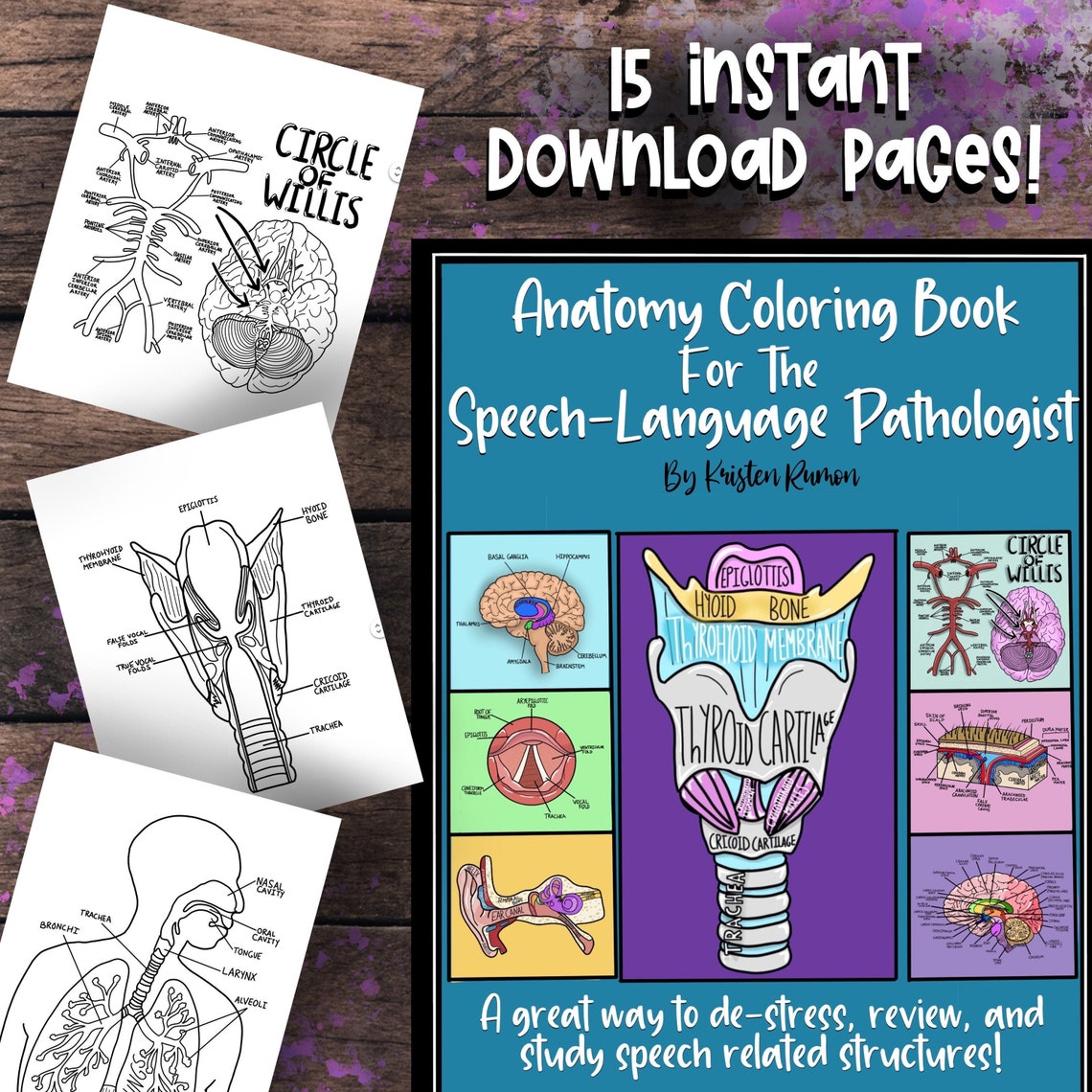 Anatomy Coloring Book for the Speech-language Pathologist - Etsy