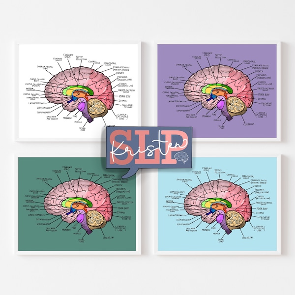 Brain Poster - Etsy