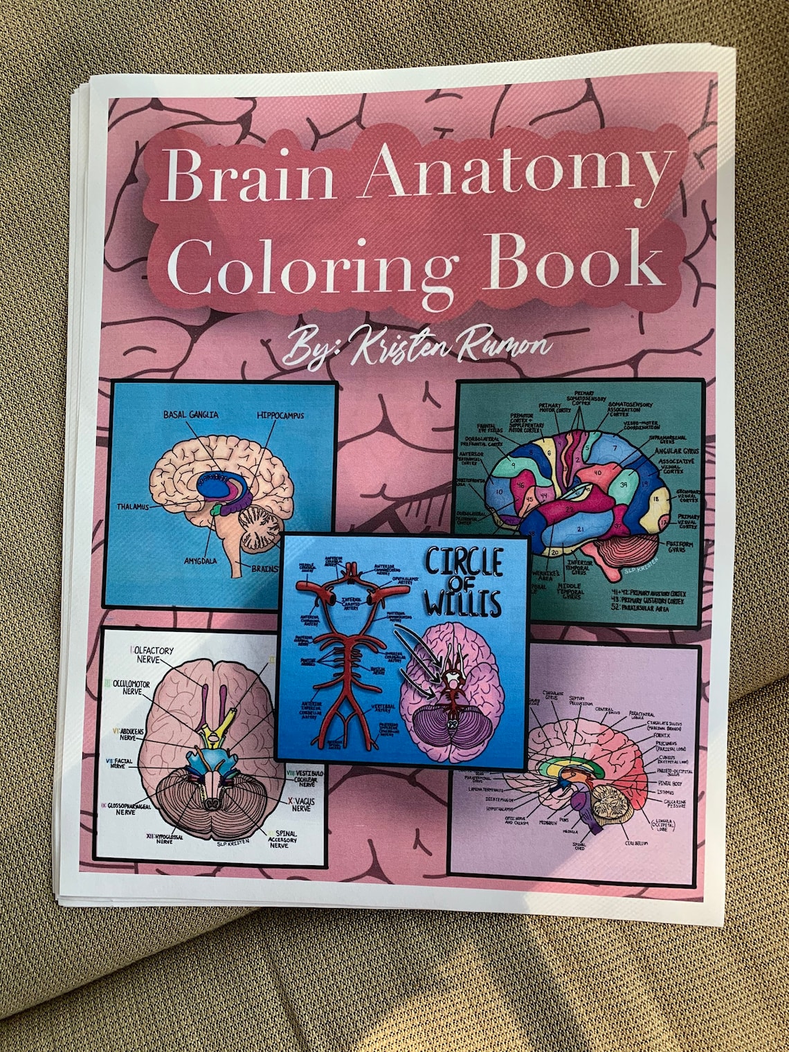 Brain Anatomy Coloring Book - Etsy