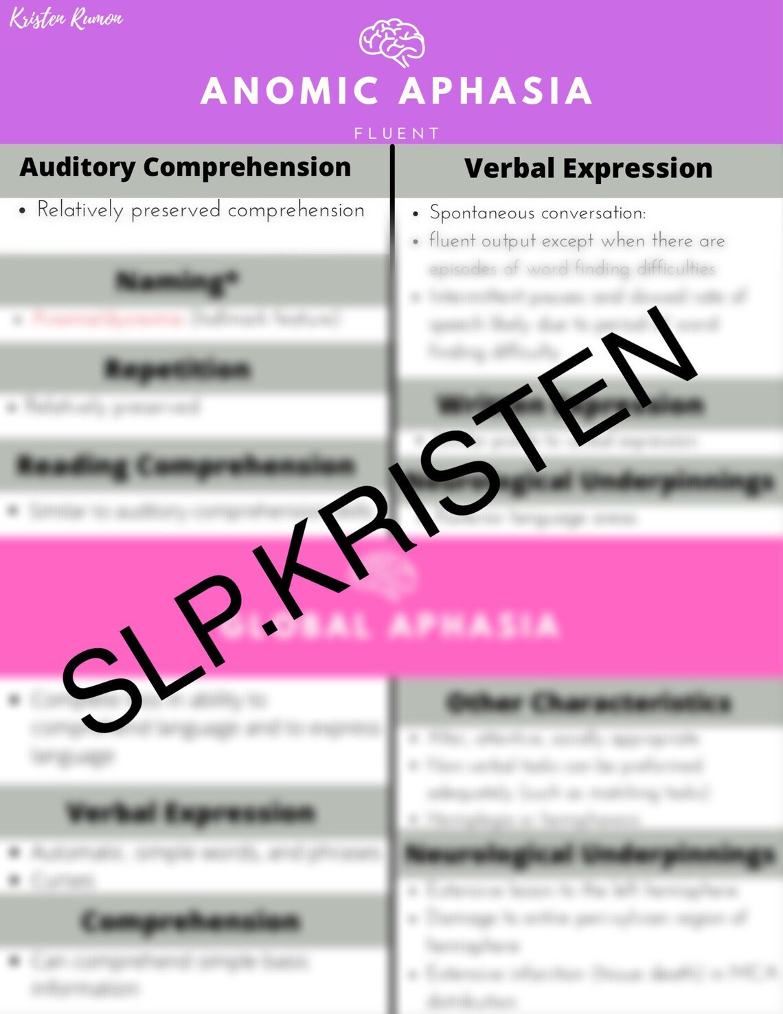 Quick Aphasia Guide - Etsy