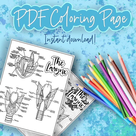 Larynx Coloring Page - Etsy