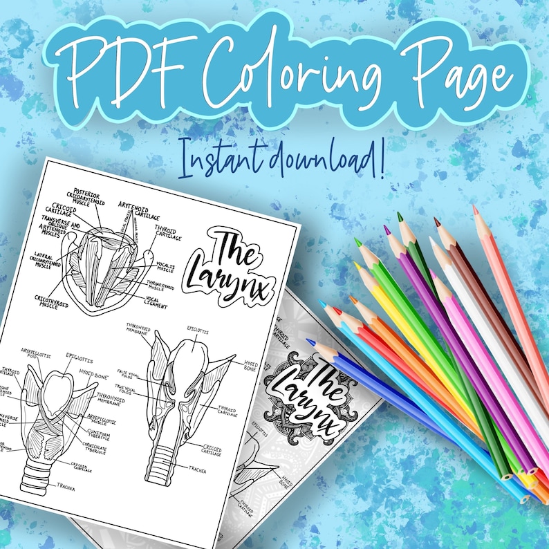 Larynx Coloring Page - Etsy