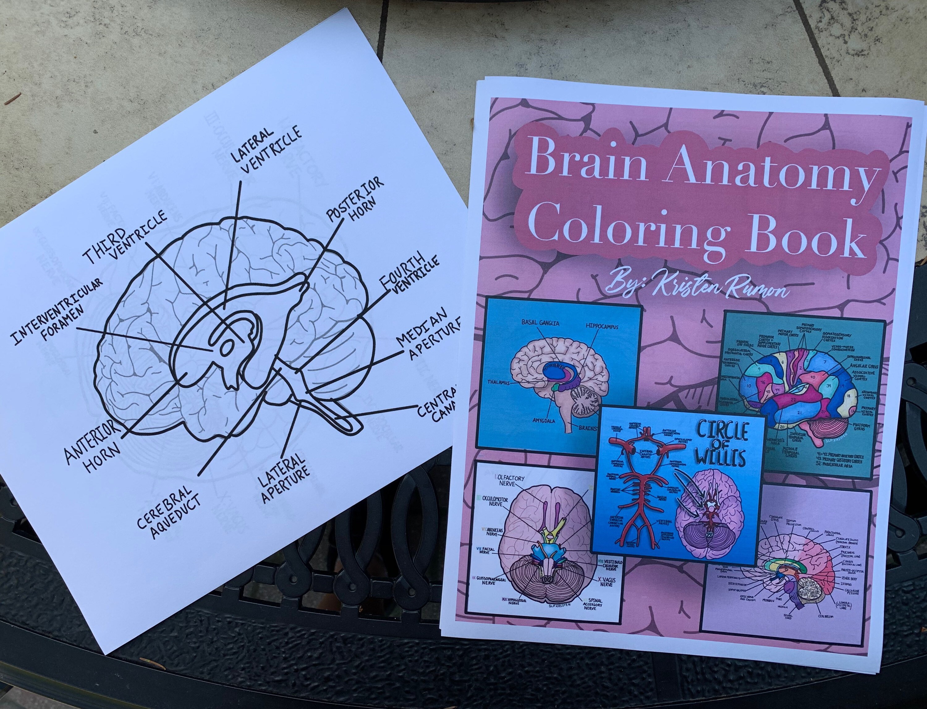 Brain Anatomy Coloring Book | Etsy