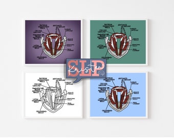 Larynx Coloring Page - Etsy Hong Kong