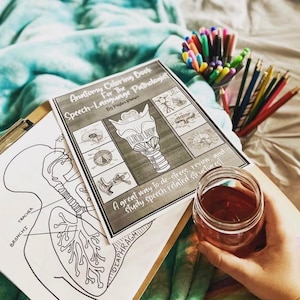 Anatomy Coloring Book for the Speech-language Pathologist (digital ...