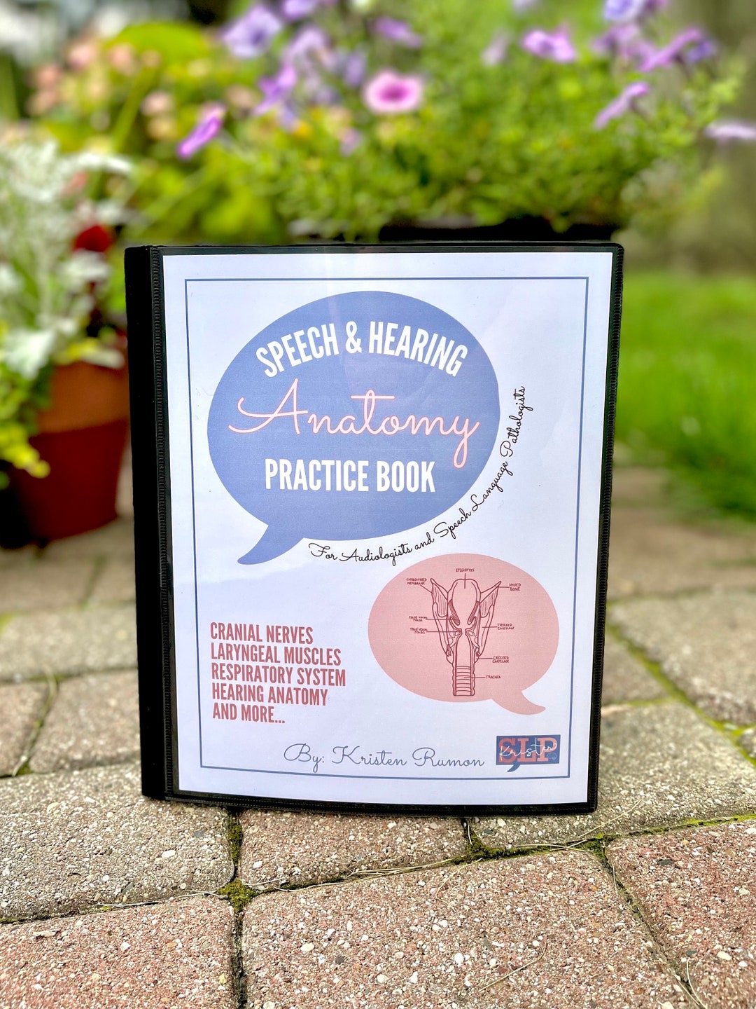 Speech & Hearing Anatomy Practice Book (digital Download) - Etsy