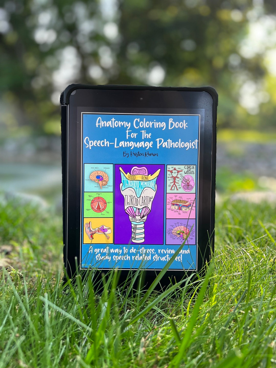 Anatomy Coloring Book for the Speech-language Pathologist (digital ...