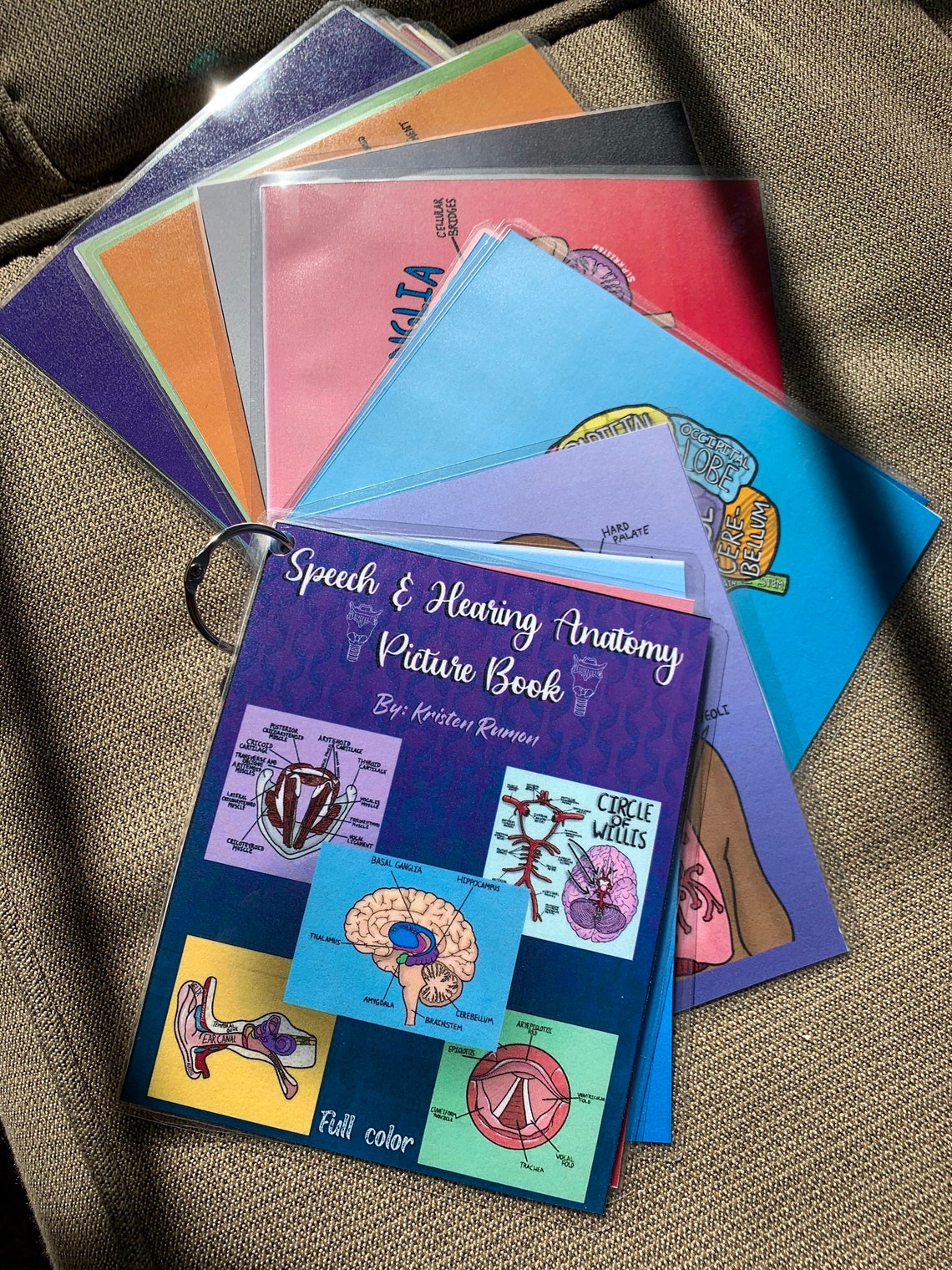 Pocket-sized Speech & Hearing Anatomy Picture Book - Etsy