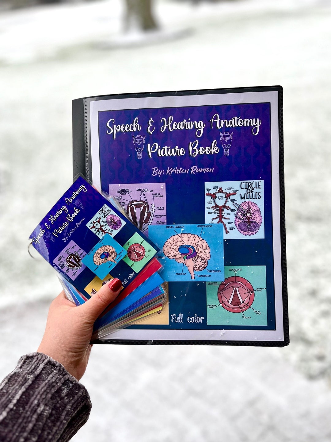 Speech & Hearing Anatomy Picture Book (full Size and Pocket Size ...