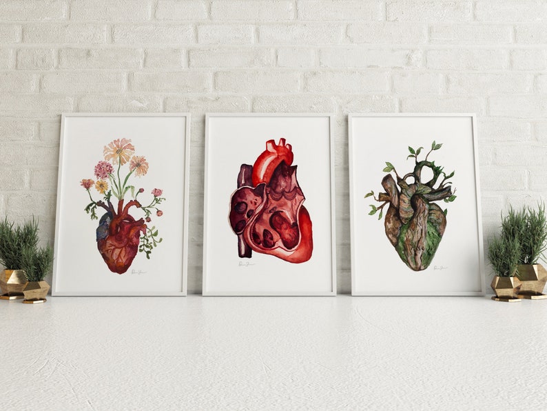 Right Ventricle Watercolor Print Cardiology Art Anatomy | Etsy