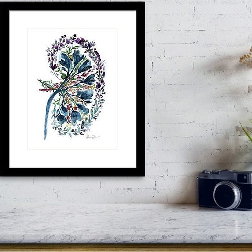 Transplant Kidney Watercolor Print Anatomical Kidney Art - Etsy