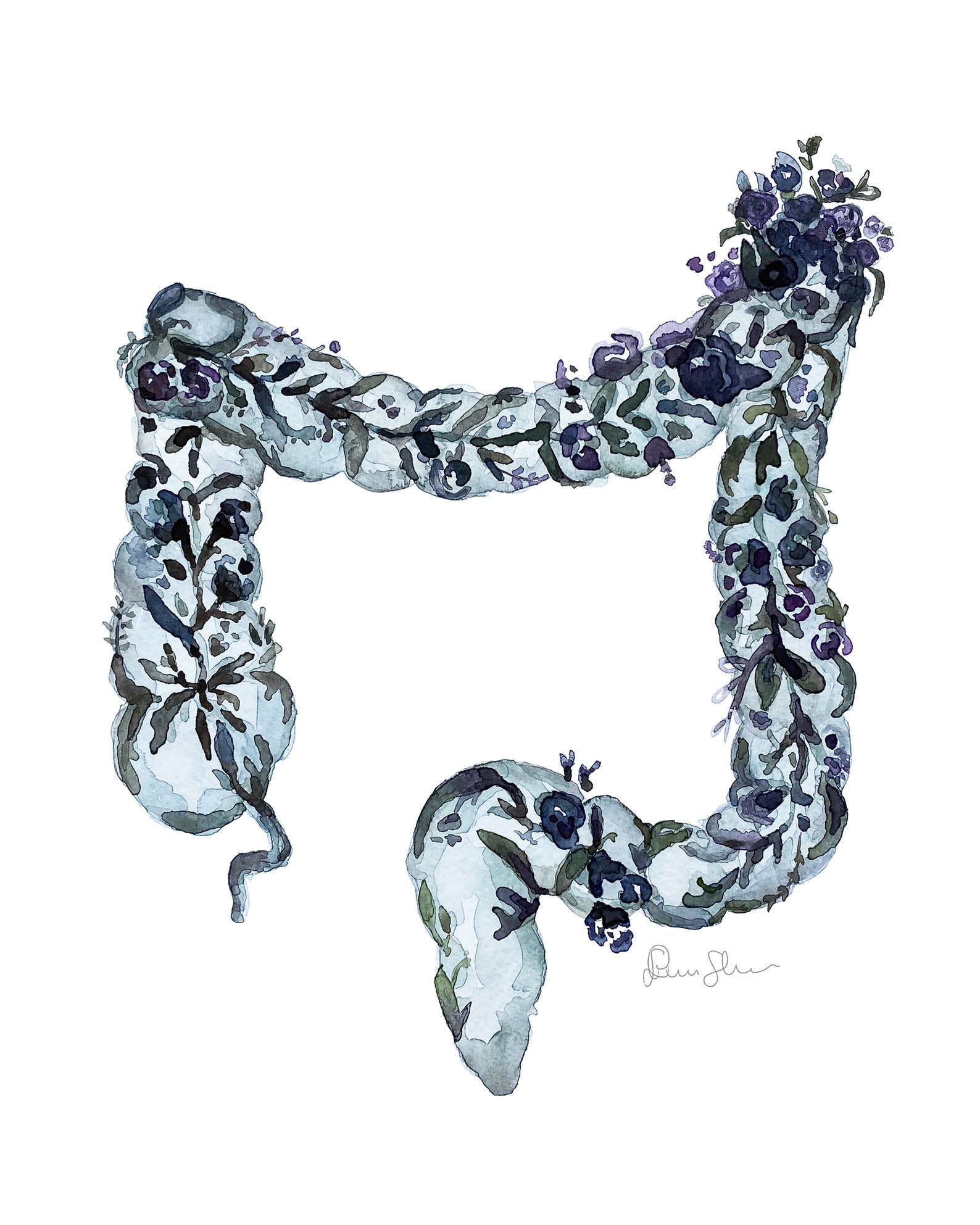 Floral Colon Watercolor Print - Floral Abstract Colon ...