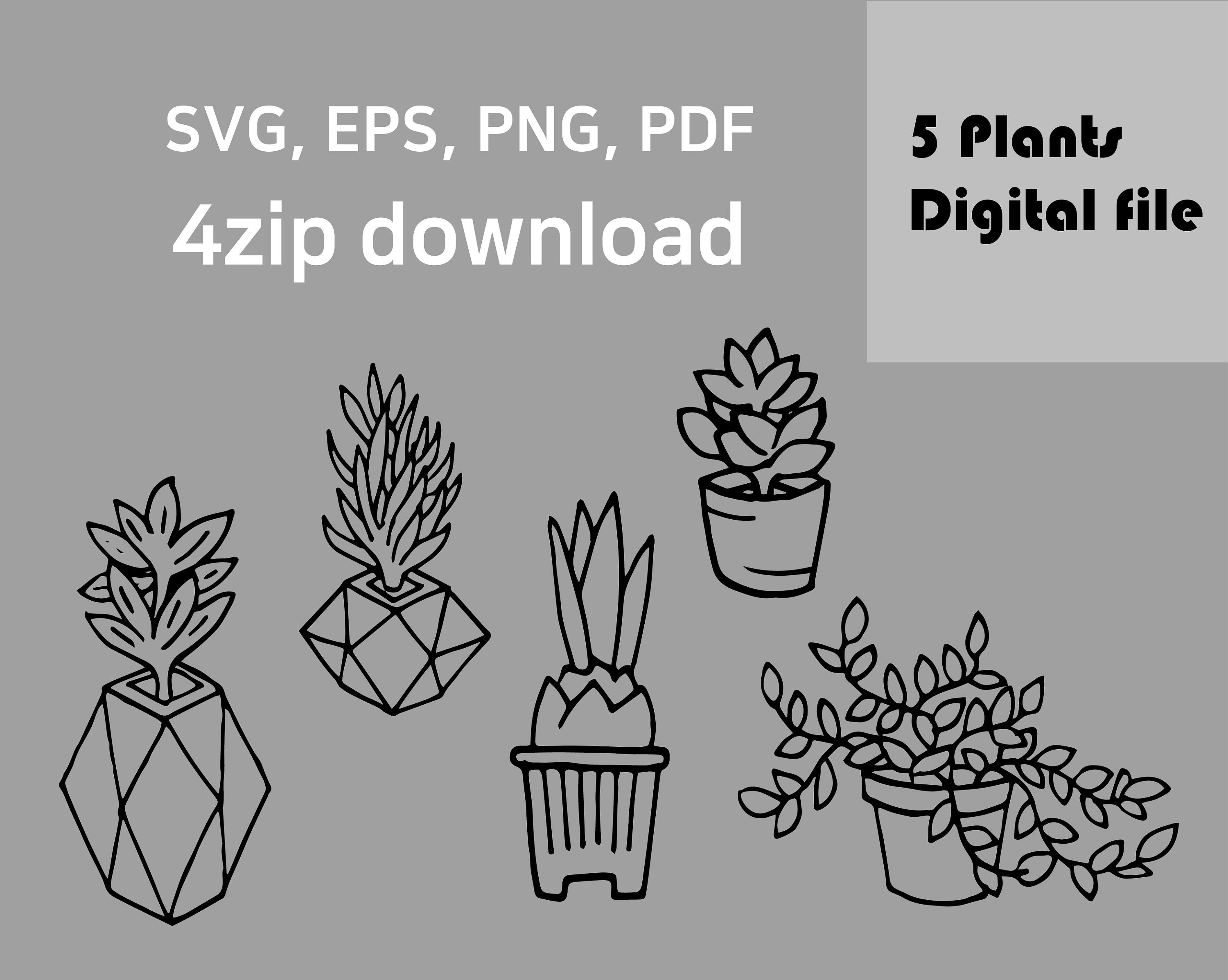 5 Plants SVG Digiral Files Svg Eps Png Pdf - Etsy