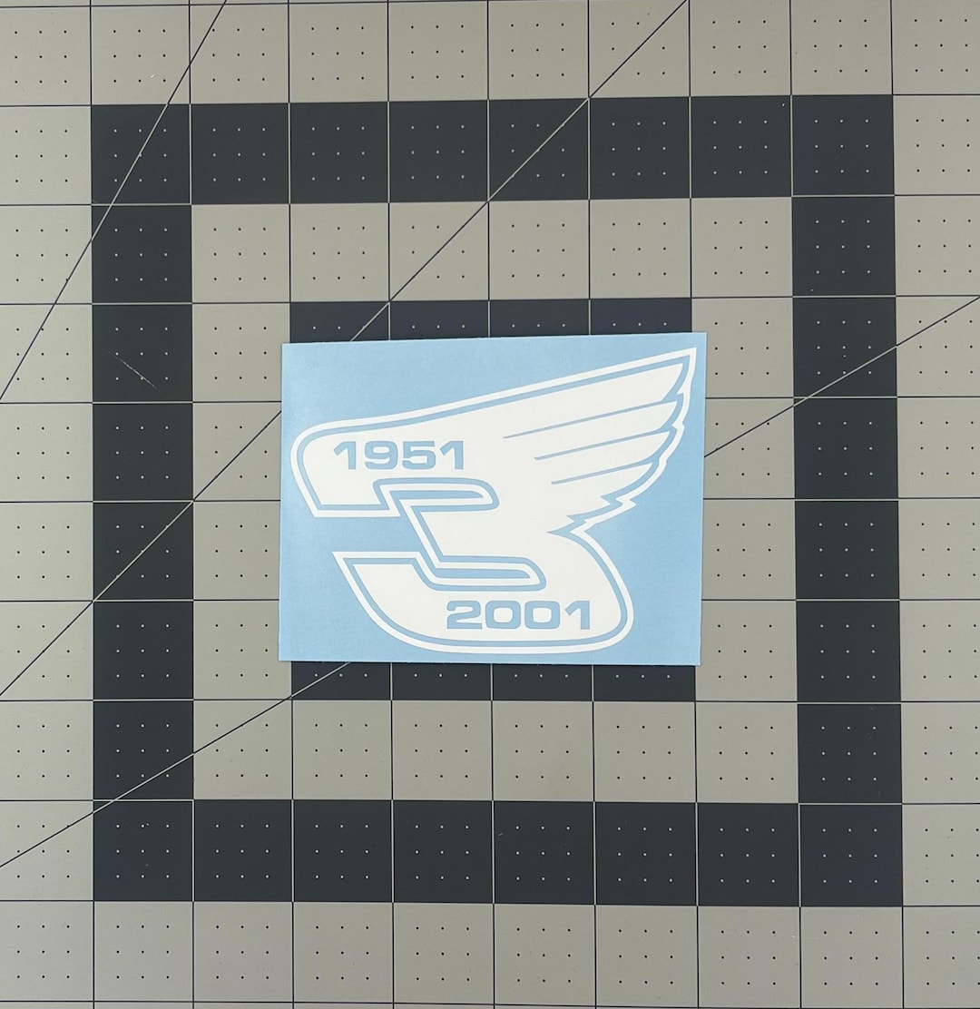 3 Dale Earnhardt Racing Nascar Sticker Decal - Etsy