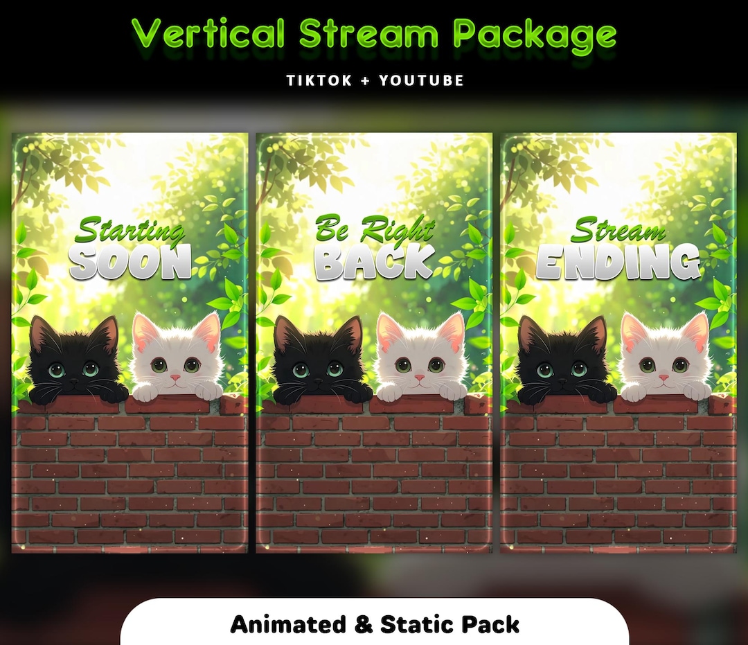Cozy Cats Animated Tiktok Stream Overlay Package, Tiktok Overlays ...