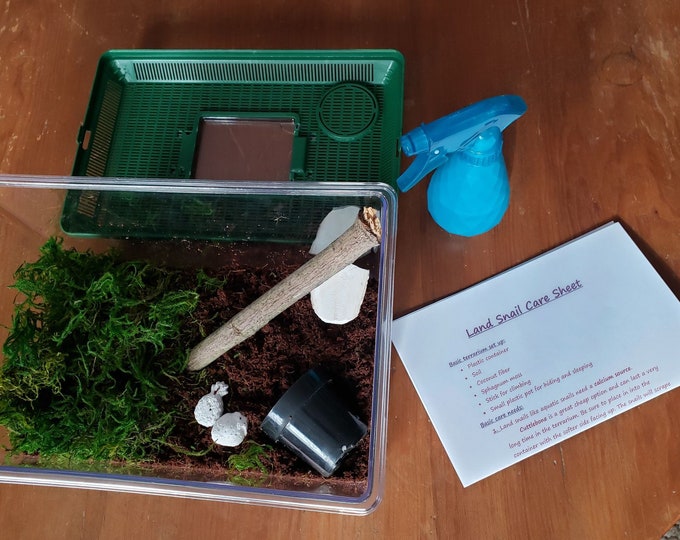 Complete Land Snail Terrarium Kit - Includes Cage - Etsy