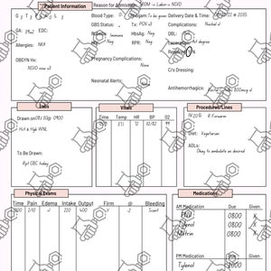 Report Sheet Bundle: Antepartum, Intrapartum, and Postpartum / Digital ...