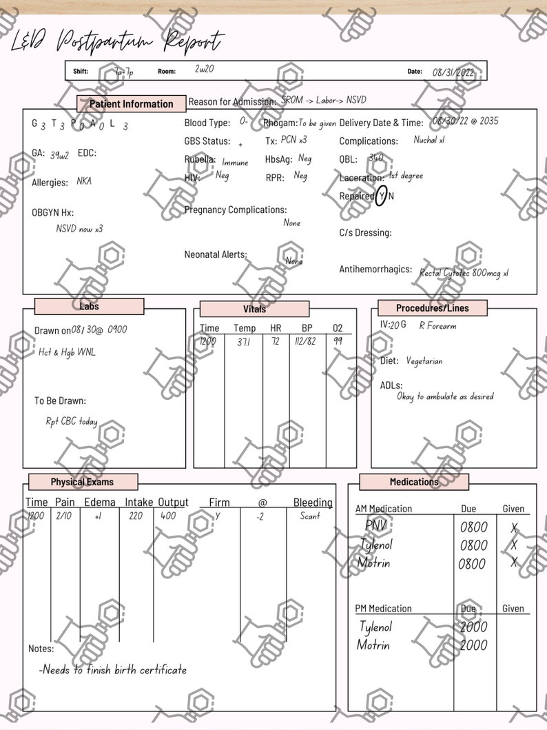 Report Sheet Bundle: Antepartum Intrapartum and Postpartum / - Etsy
