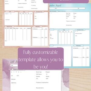 Report Sheet Bundle: Antepartum, Intrapartum, and Postpartum / Digital ...