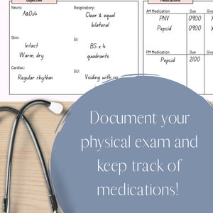Labor and Delivery Antepartum Report Sheet / Digital Download - Etsy