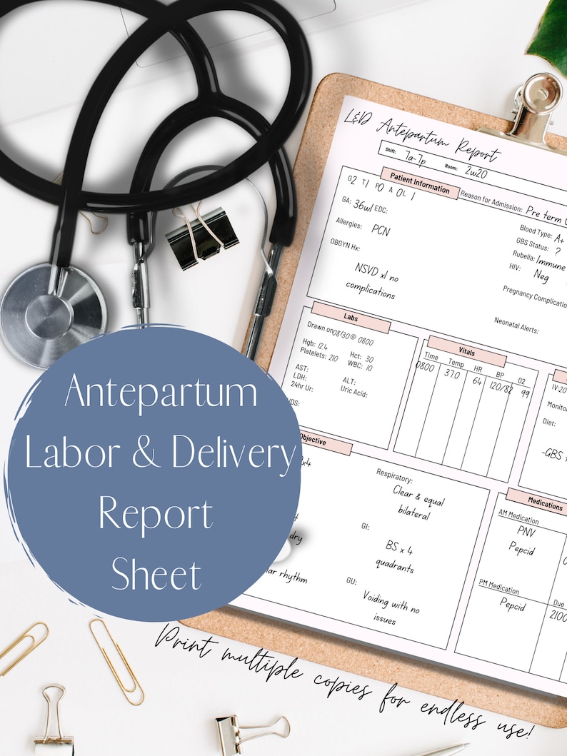 Labor and Delivery Antepartum Report Sheet / Digital Download - Etsy