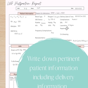 Postpartum Report Sheet / Digital Download - Etsy